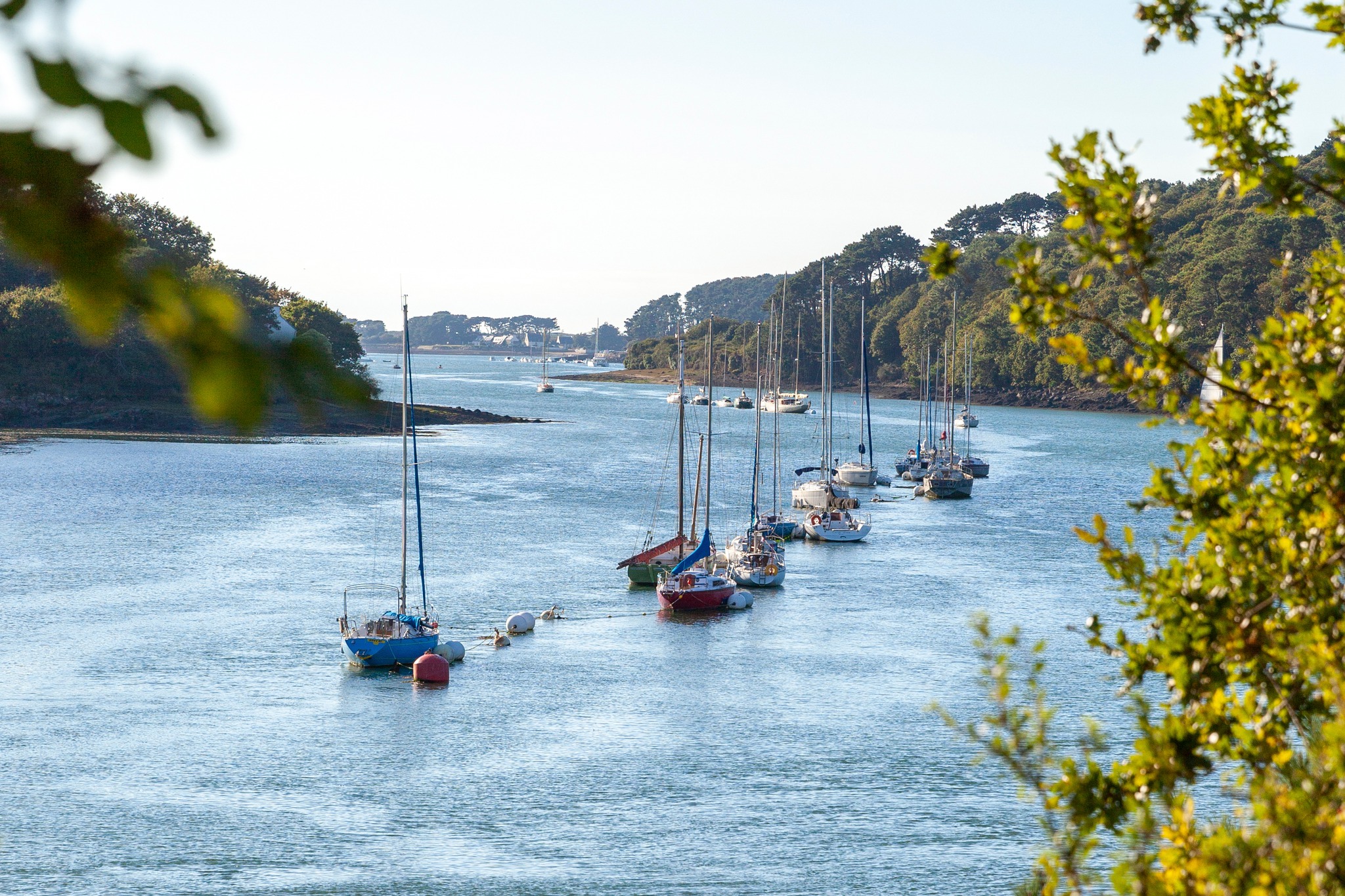 L'Aber Wrac'h - Vedettes des Abers